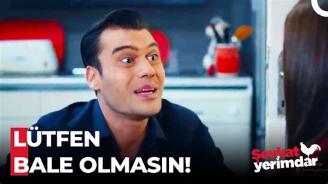 Dışarda Aslan Evde Kedi Şevkat Yerimdar YouTube