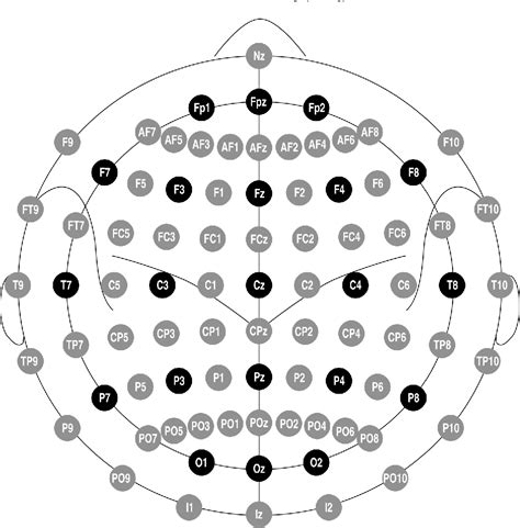 Eeg Electrode Placement