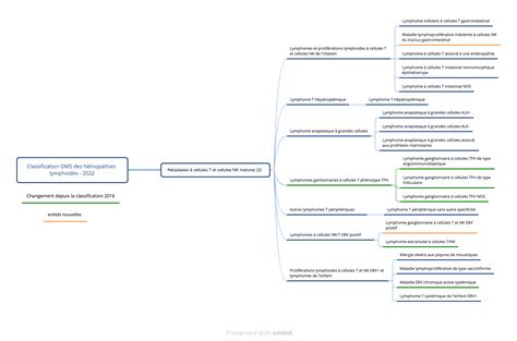 Classification Oms Des Hémopathies Lymphoïdes Lymphoma Care