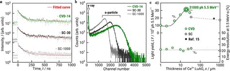α Particle Induced Scintillation Properties Of The Ce³⁺luag Thick Film