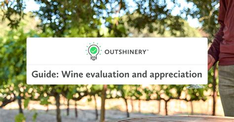 Mastering Wine Evaluation Outshinery