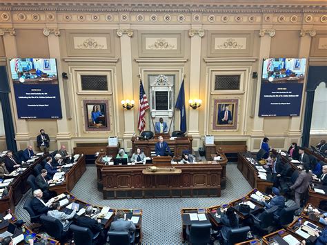 Va Lawmakers Reject Youngkins Gender Privacy Amendment • Virginia Mercury