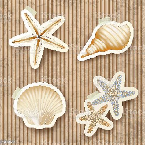 Seashells On Cardboard Background Stock Illustration Download Image
