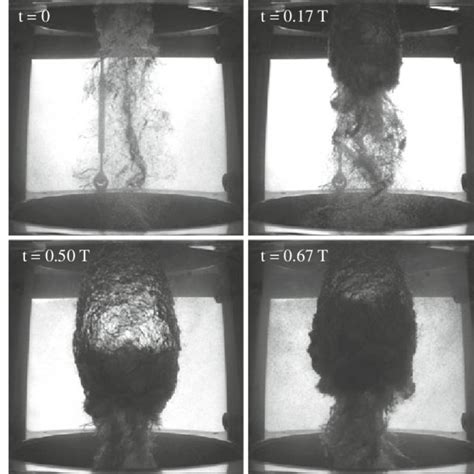 Shows A High Speed Visualization Of The Oscillating Vortex Rope Download Scientific Diagram