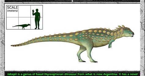 Jakapil Album On Imgur