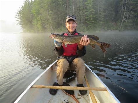 Dawson Brothers Algonquin Trips Trip 22 Booth Lake August 2014