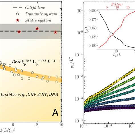 Diffusivity Of Nanofibers A Normalized Rotational Diffusivity Of Download Scientific Diagram