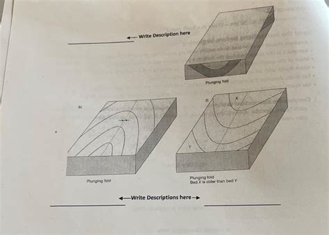 Solved Read The Instructions Before Beginning Answers
