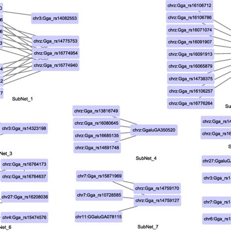 epistatic snp snp interaction network of birthday body weight bw0 in