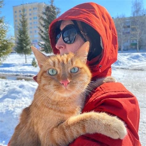 Валидол Youtube