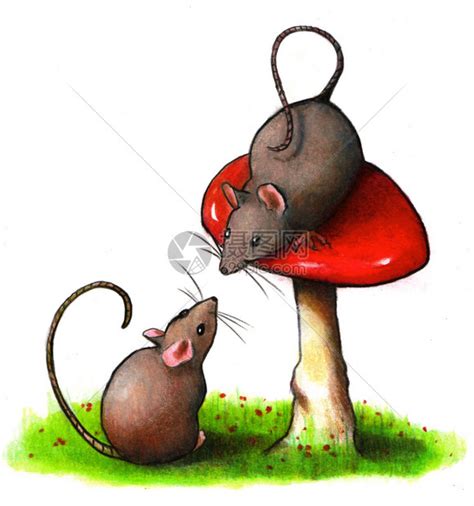 两只小老鼠在聊天时画的彩笔画插画图片下载 正版图片503421850 摄图网