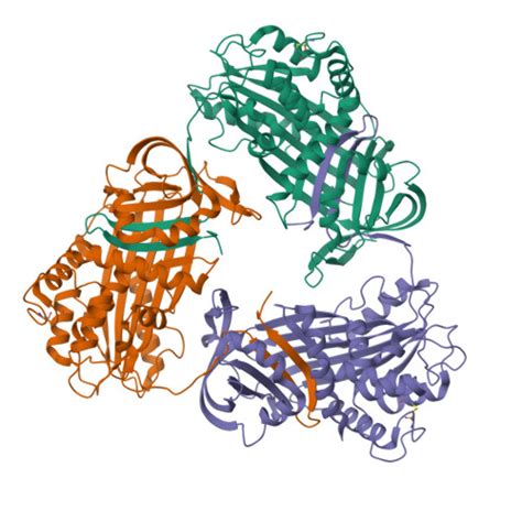 Rcsb Pdb 6kga Structure Of Ovalbumin From Emu Dromaius Novaehollandiae