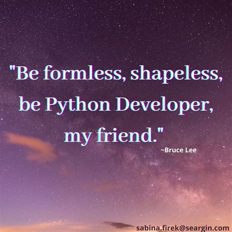 sabina firek on linkedin pythondeveloper contract remote searginit