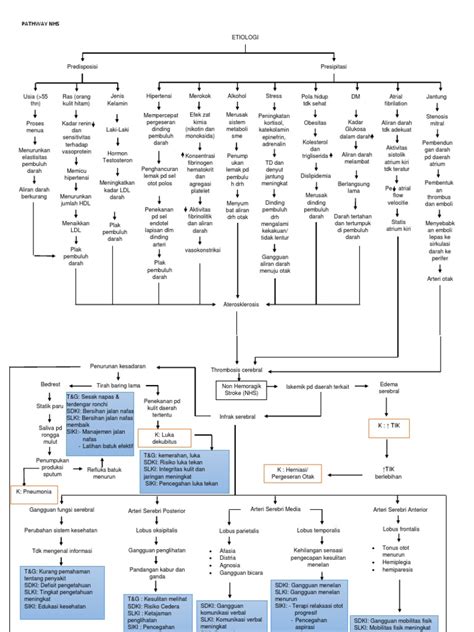 Pathway Nhs Pdf