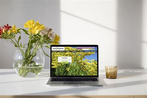 The Best Wix Website Examples