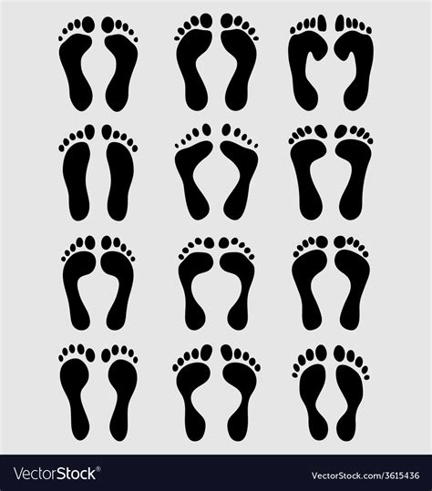 Feet Royalty Free Vector Image Vectorstock