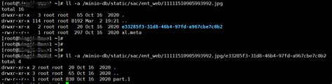 heal result is ok but the file still corrupted · issue 16780 · minio