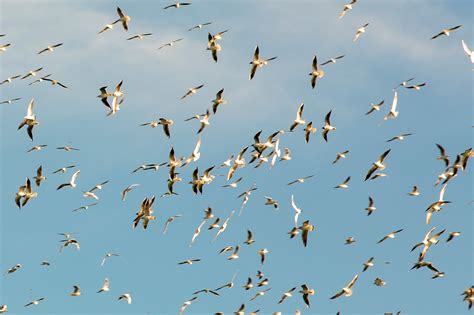 Undp Georgia 🏡💨 საქართველოს ათი მუნიციპალიტეტის სათემო და საგანმანათლებლო ორგანიზაციების