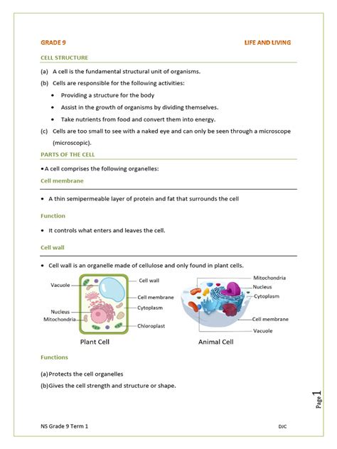 Ns Grade 9 Guide Term 1 2024 Pdf