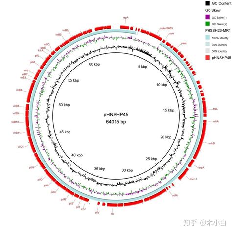 Brig 比较基因组圈图展示神器 知乎