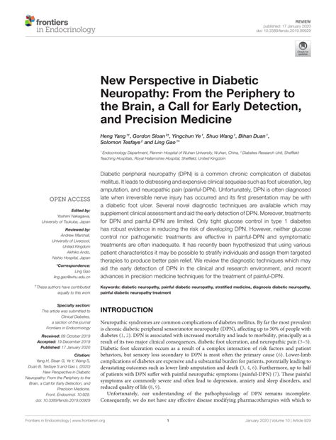 Pdf New Perspective In Diabetic Neuropathy From The Periphery To The Brain A Call For Early