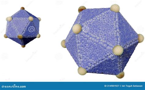 Poliovirus Structure Close Up Of A Virion Anatomy Vector Illustration