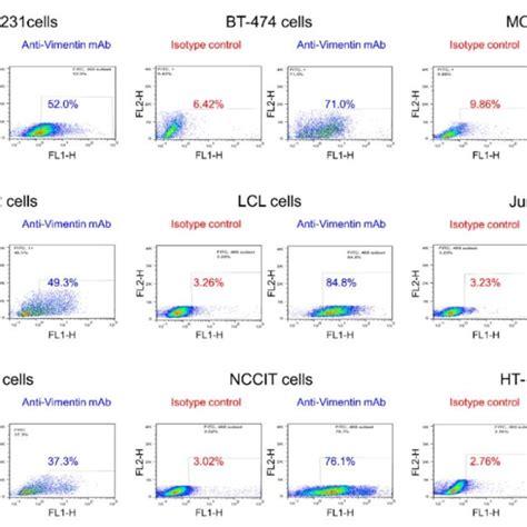 Flow Cytometry Results Of Cell Surface Vimentin Csv Detection In