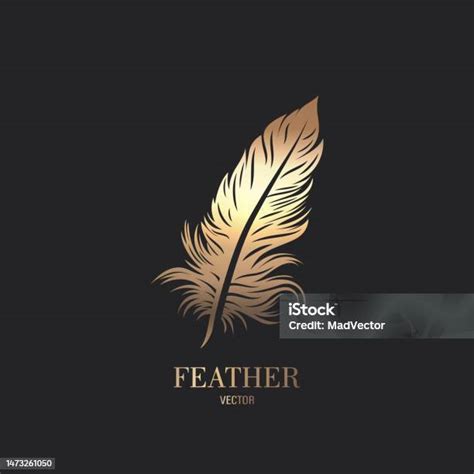 벡터 푹신한 황금색 깃털 로고 아이콘 실루엣 깃털 근접 촬영 플라밍고 천사 새 깃털의 디자인 템플릿입니다 가벼움 자유 개념 가벼운에 대한 스톡 벡터 아트 및 기타 이미지