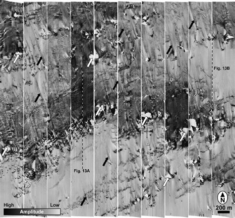 Side Scan Sonar Sss Image For Site 3 Showing High Amplitude Download Scientific Diagram