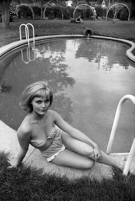 Slice Of Cheesecake Carol Lynley Pictorial