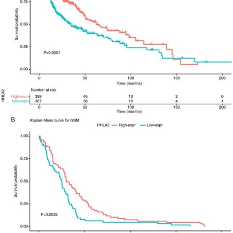 Overexpression Of Hhla2 Is Associated With Better Prognosis In Glioma