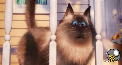 کارتون وانیمیشن قشنگ خوب عالی فیلو