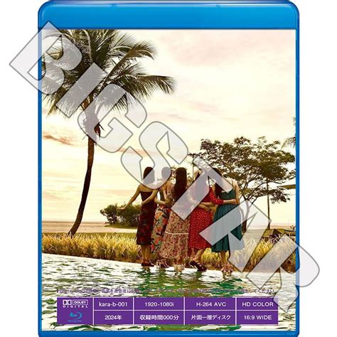 Blu Ray Kara Wish I Have Kara 2枚set 完 Ep01 Ep08 日本語字幕あり カラ K Pop Kpop