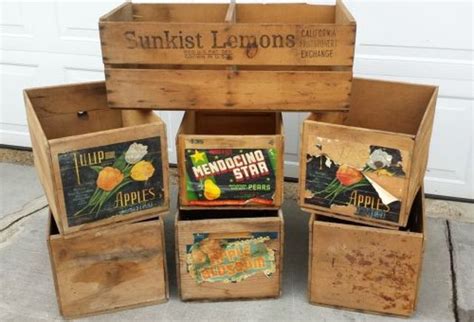 Sofka Skipwith Timeline Timetoast Timelines