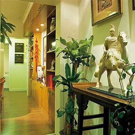 【客廳擺放植物風水】 客廳種什麼植物風水好有哪些禁忌 Npf 風水知識網