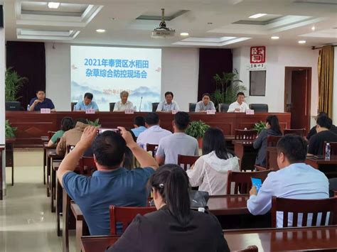 我院生态所和奉贤区农技中心联合召开水稻田杂草综合防控现场会科技动态新闻中心上海市农业科学院