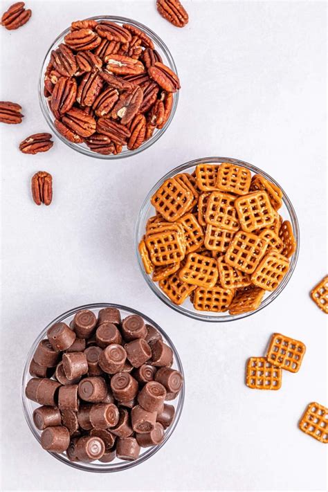 Pretzel Turtle Bites Xoxobella