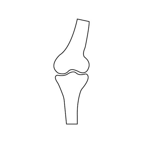 Icône Des Articulations Osseuses Vecteur Premium
