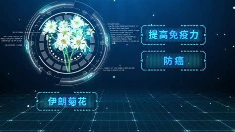 甜点和山野菜也能防癌？权威专家带来两个美食配方凤凰网视频凤凰网