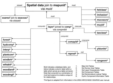 Ssurgo Database Table Relationships That Were Applied In The Gis