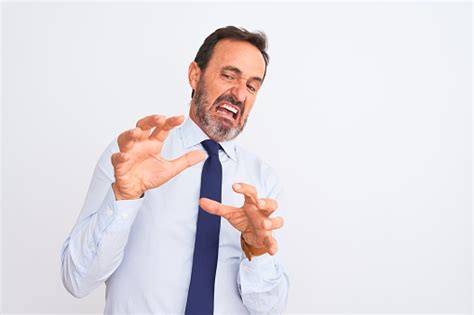고립 된 흰색 배경 혐오 표정 위에 서 우아한 넥타이를 입고 중년 사업가 혐오 얼굴 때문에 혐오 얼굴을 하고 혐오 반응 손을