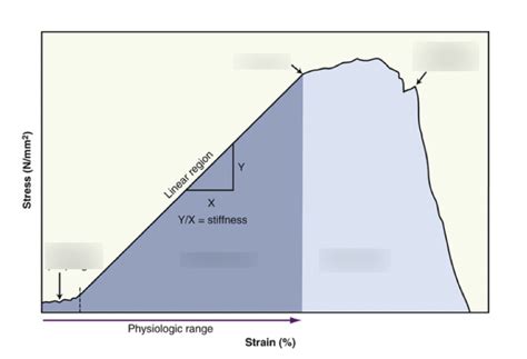 Stress Strain Curve Unit 1 Diagram Quizlet