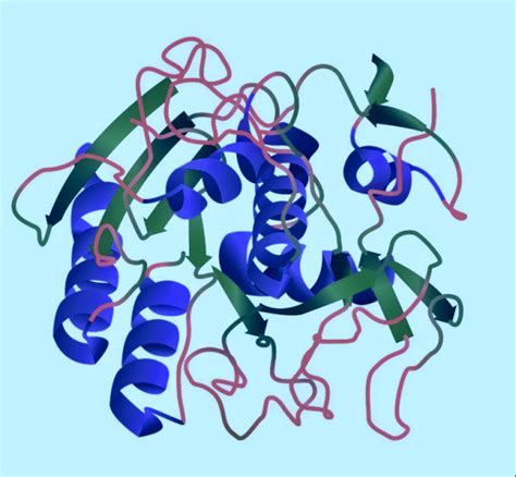 Broad Spectrum Serine Protease For Dna And Rna Isolation Minnebio