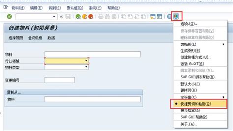 Sap系统操作流程财务软件一分钟掌握sap小知识 系统基本操作weixin39618456的博客 Csdn博客