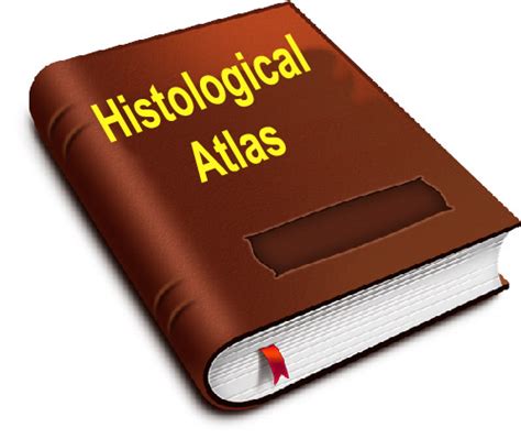 Welcome To Zebra Zebra