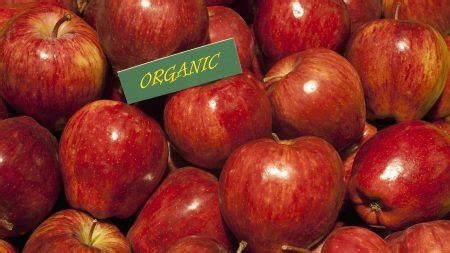 Russia sets standards for organic food production - Prepare For Change