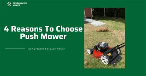 Self-Propelled vs Push Mower: What’s Best For You? - Outdoorstip