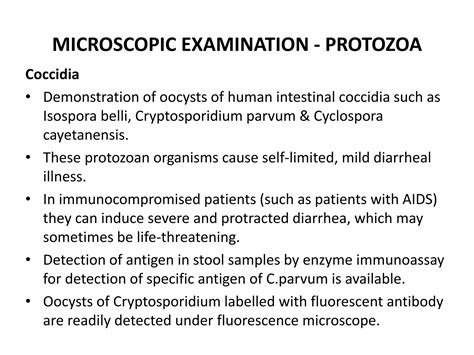 Stool Examination Pptx