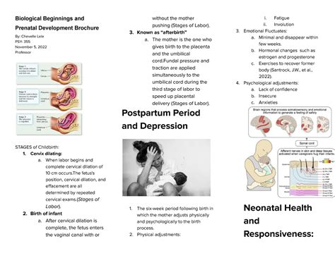 Biological Beginnings And Prenatal Development Brochure 3 Biological