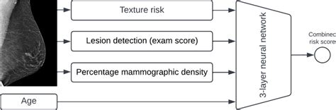Combining Ai Models Improves Breast Cancer Risk Assessment